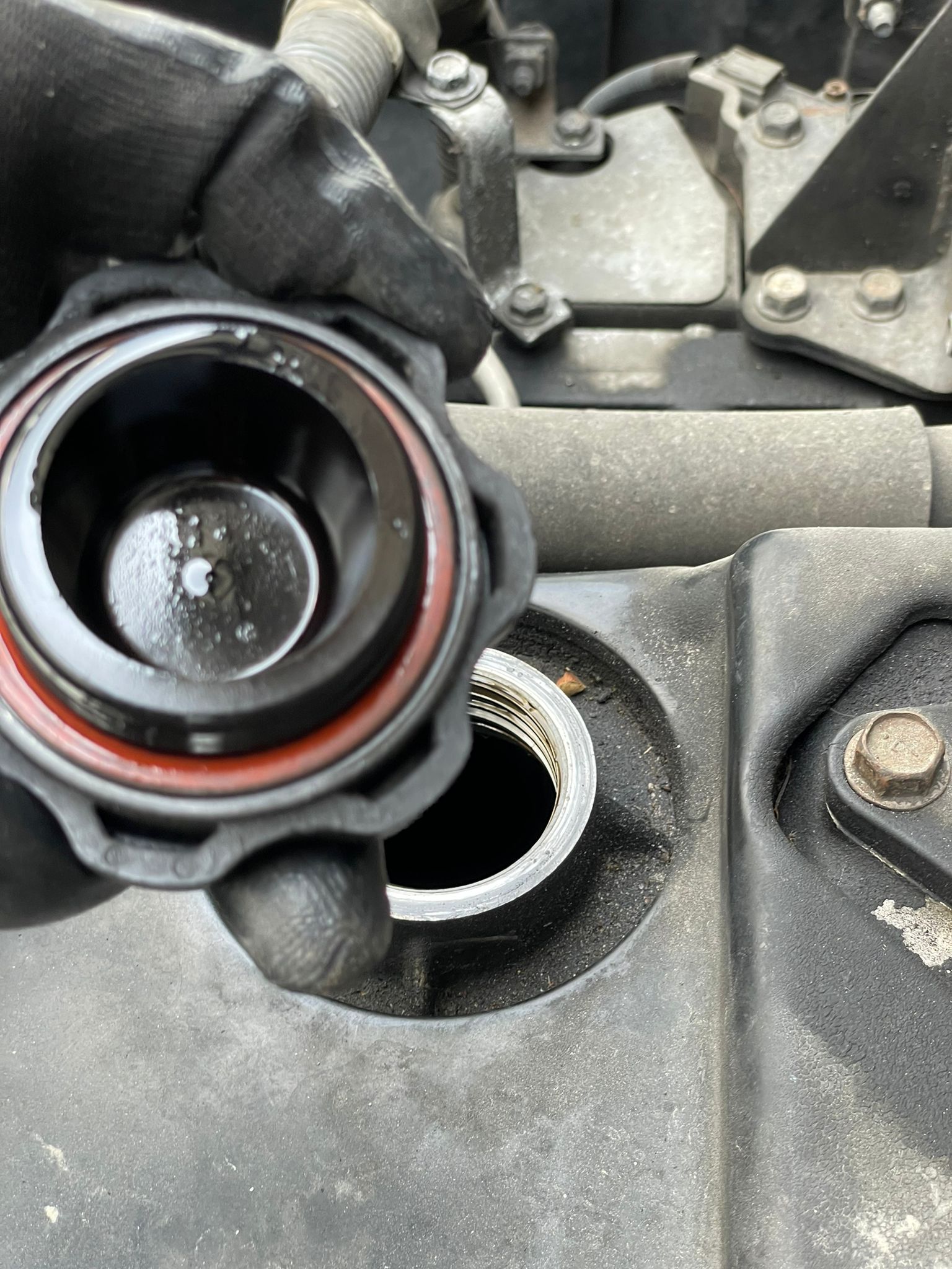 DB : Nissan CD4 Chassis & Cab
